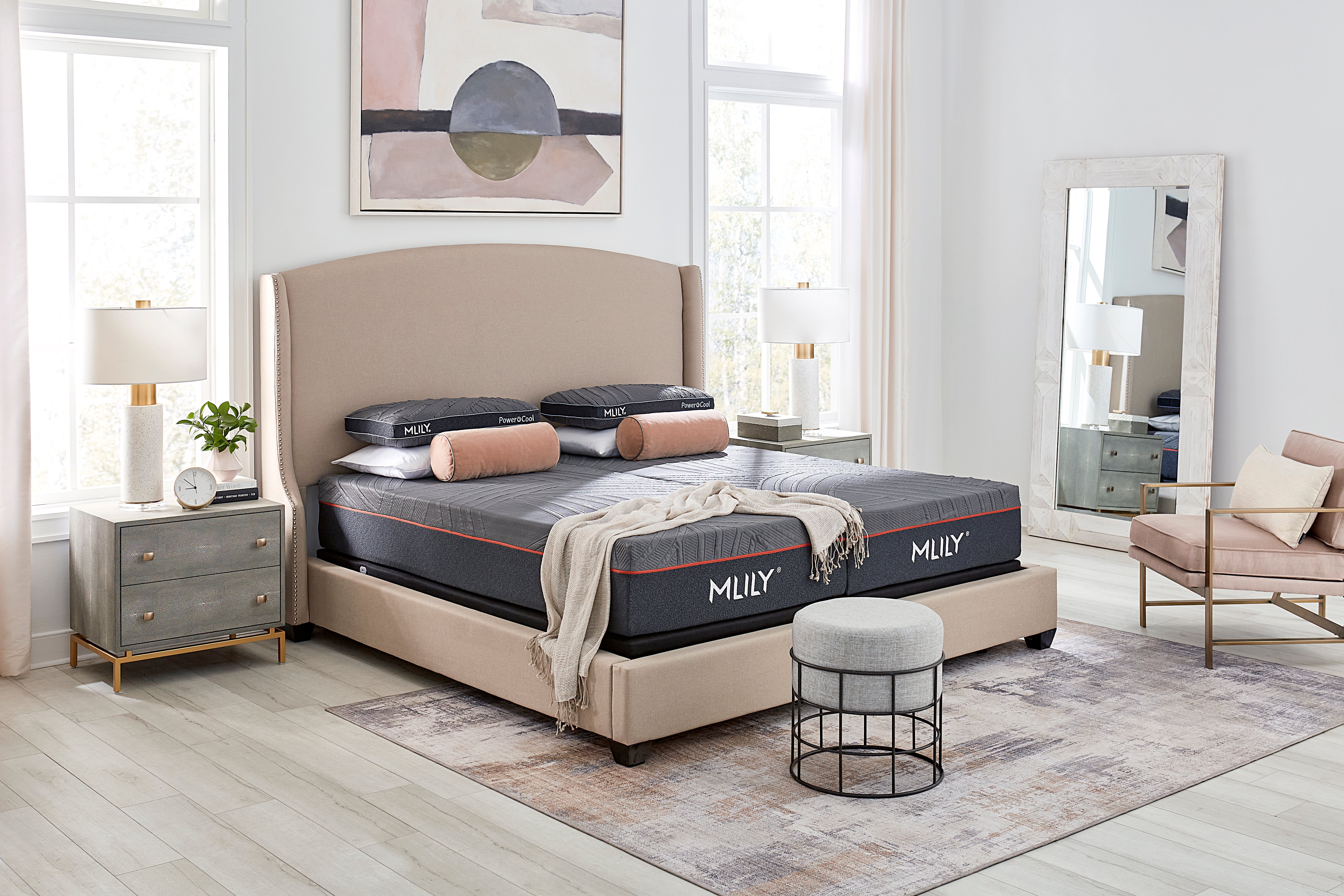 Affordable Queen Mattress- Pinellas County| Fast & Free Delivery – TRU ...